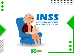 O que é INSS: Funções e Para que Serve